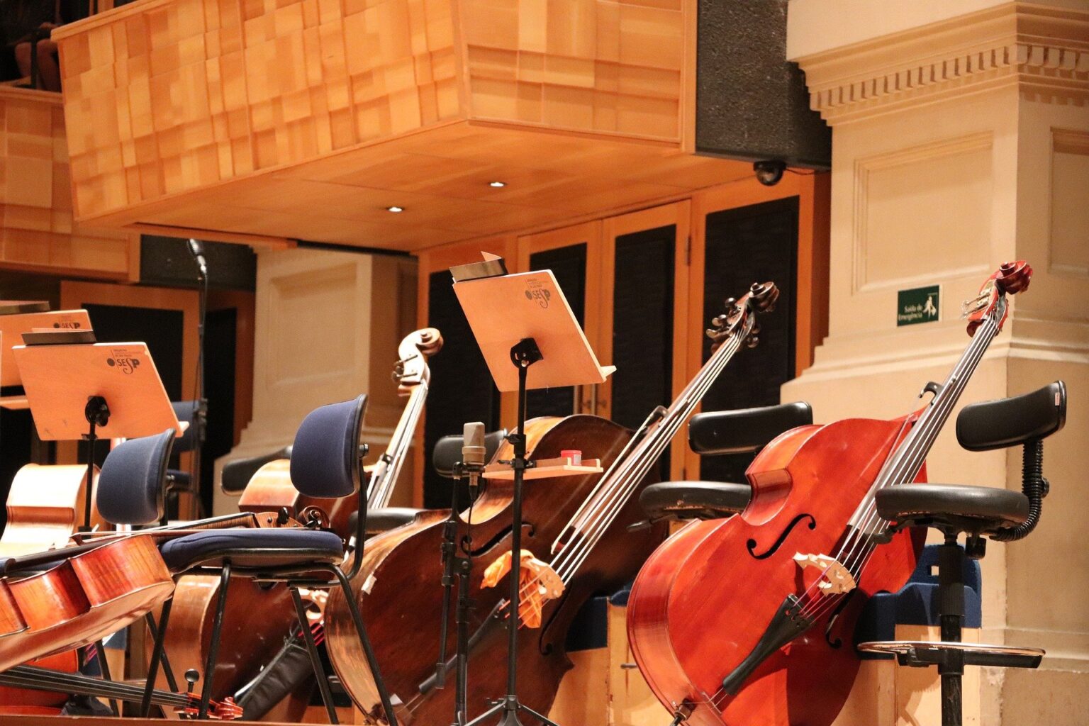 The Greatest Cellists: Legends Who Loved The Instrument. – Lee's Music ...